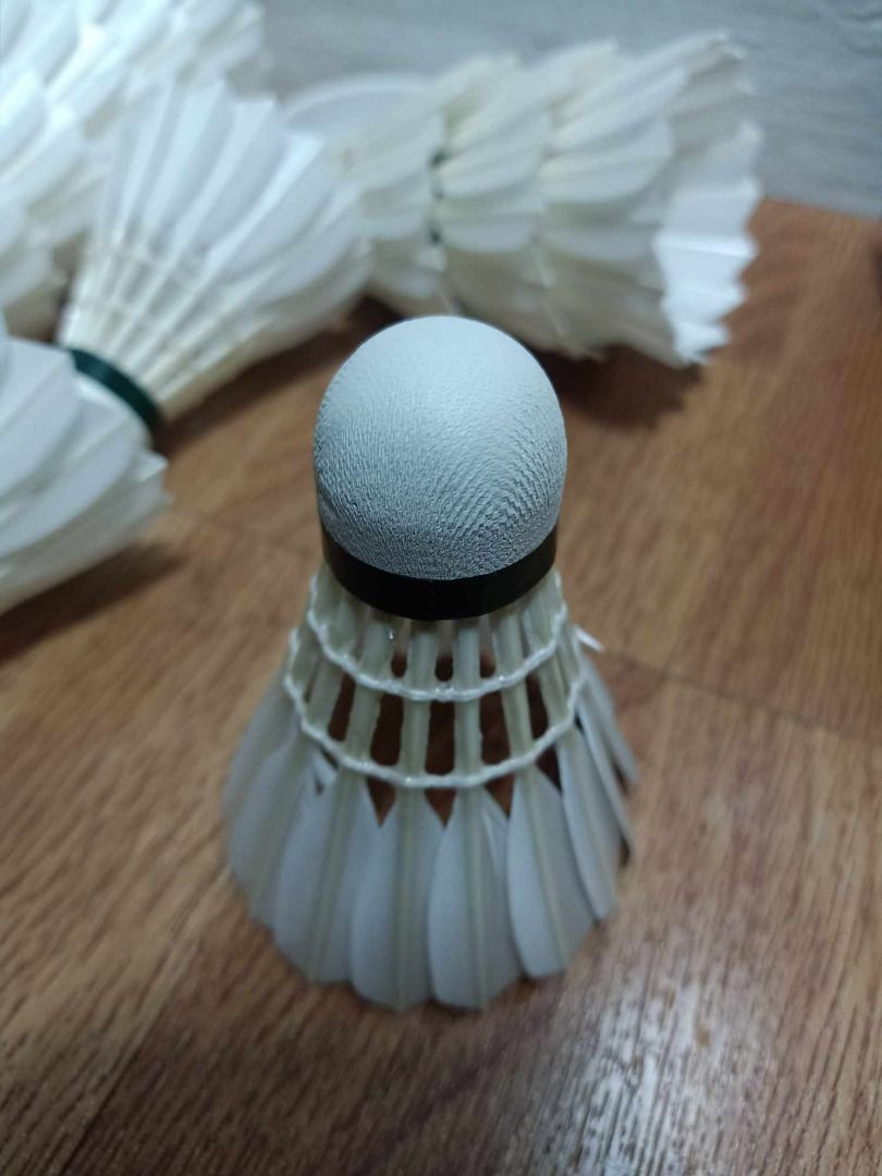 BLACK KNIGHT SH6050 FEATHER SHUTTLECOCK (PER TUBE), Sports Equipment ...