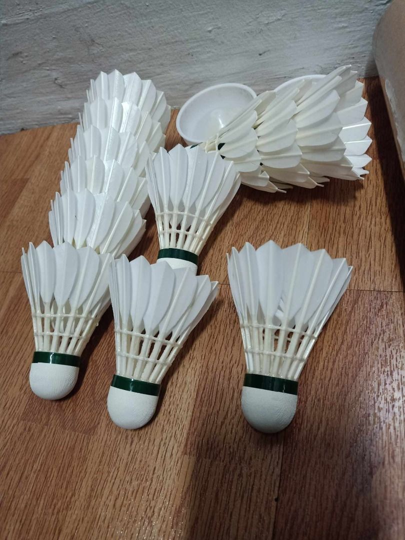 BLACK KNIGHT SH6050 FEATHER SHUTTLECOCK (PER TUBE), Sports Equipment ...
