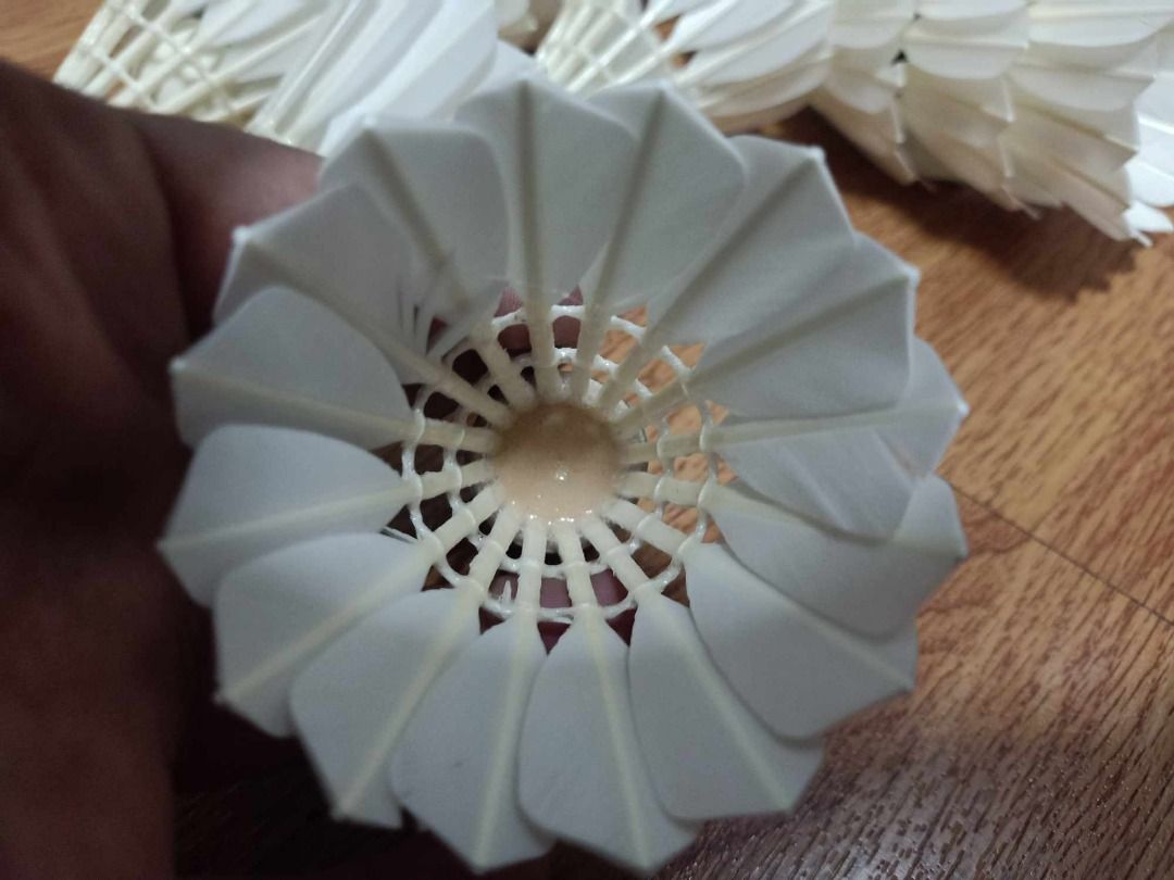 BLACK KNIGHT SH6050 FEATHER SHUTTLECOCK (PER TUBE), Sports Equipment ...