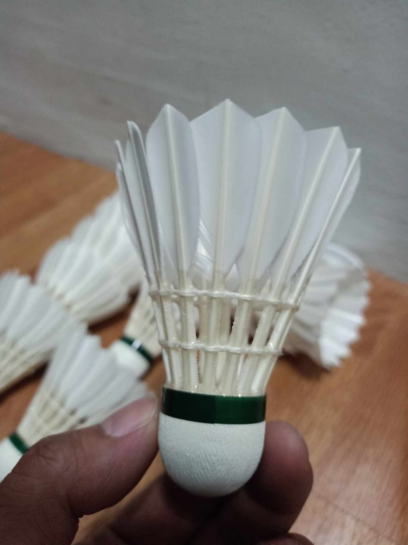 BLACK KNIGHT SH6050 FEATHER SHUTTLECOCK (PER TUBE), Sports Equipment ...