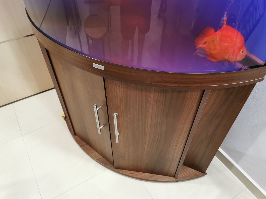 Corner Fish Tank, Pet Supplies, Homes & Other Pet Accessories on Carousell