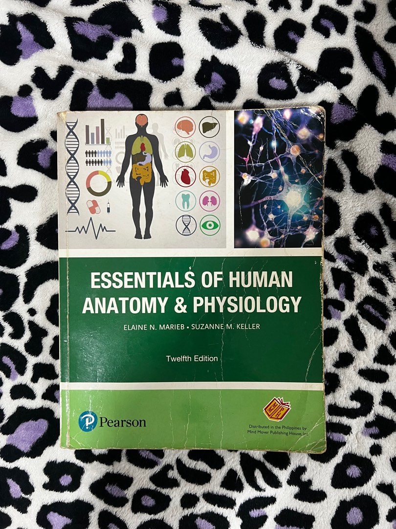 Essentials of Human Anatomy & Physiology 12th Edition, Hobbies & Toys ...