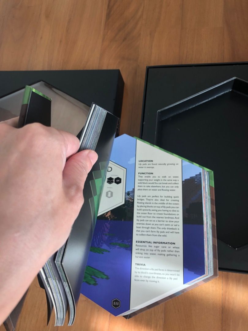 Limited edition MINECRAFT Book, 興趣及遊戲, 書本 & 文具, 漫畫 - Carousell