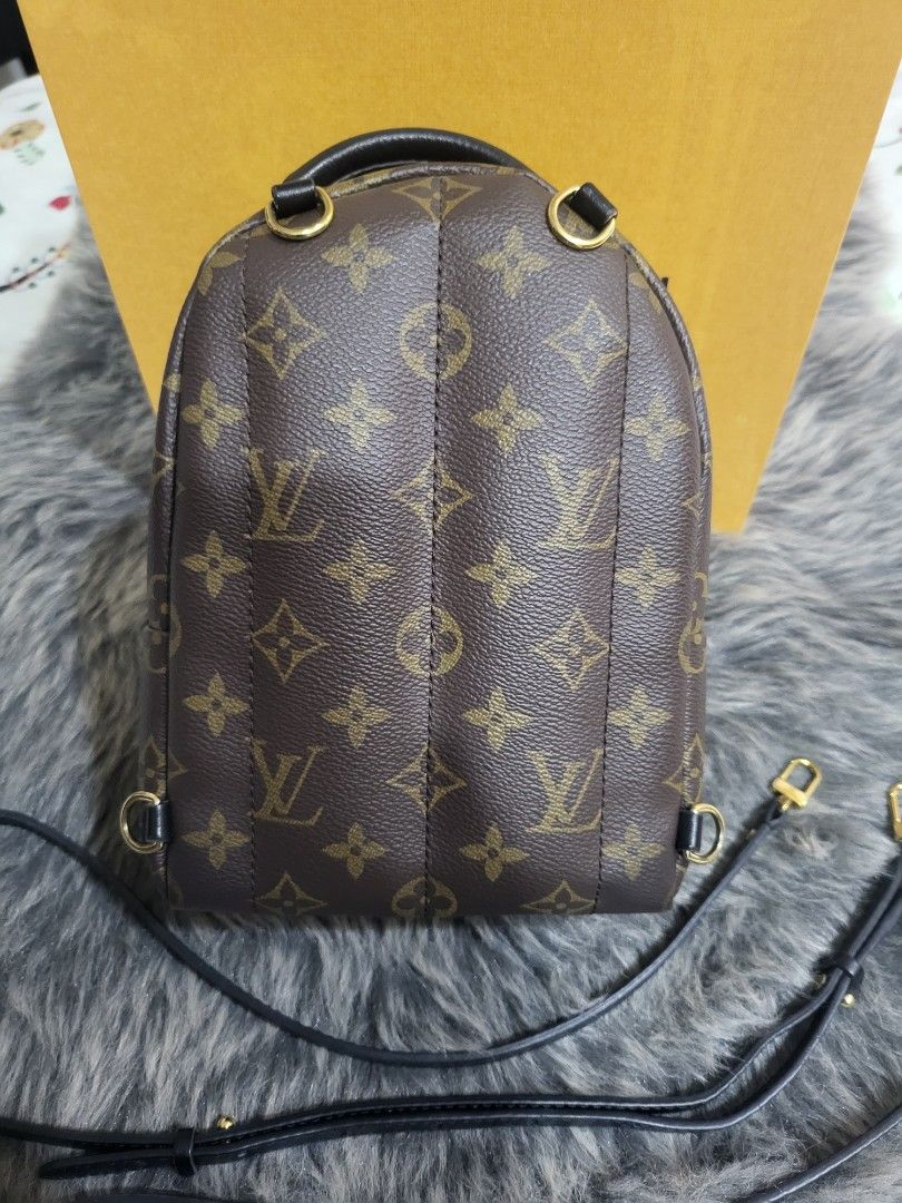 Louis Vuitton LV Palm Spring Mini - Pristine Condition, Luxury, Bags ...