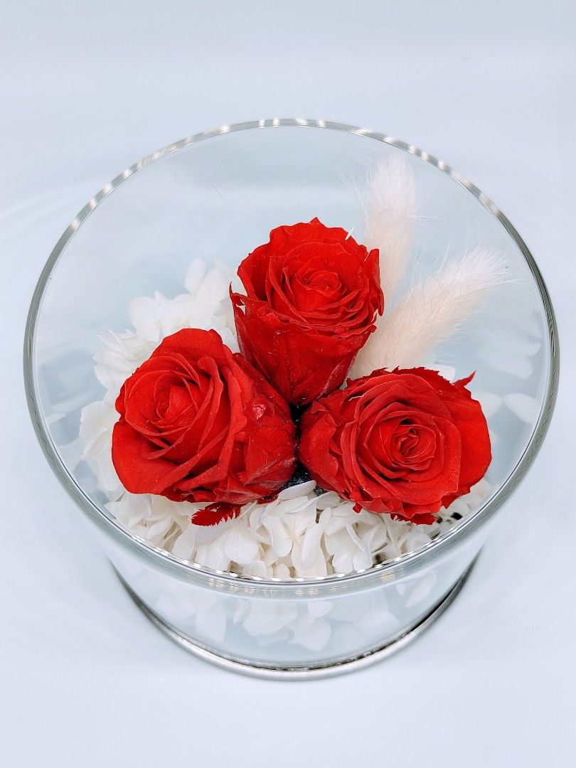 Preserved Rose Glass Dome, Hobbies & Toys, Flowers & Bouquets on Carousell