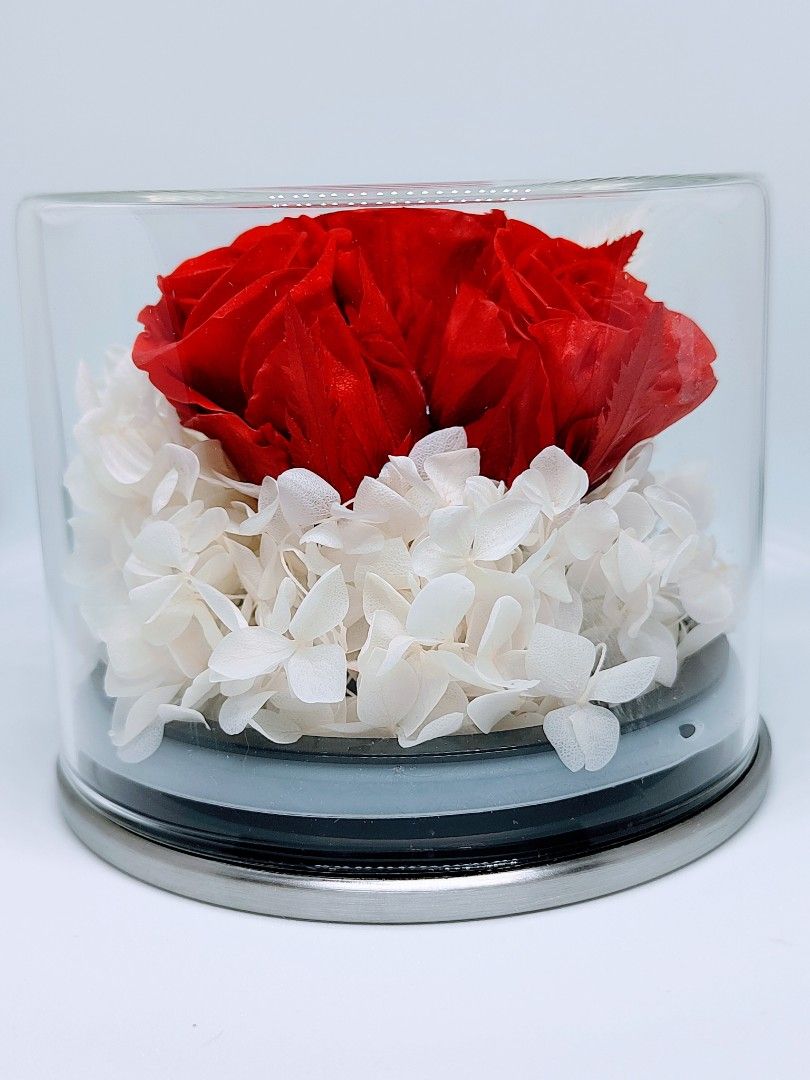 Preserved Rose Glass Dome, Hobbies & Toys, Flowers & Bouquets on Carousell