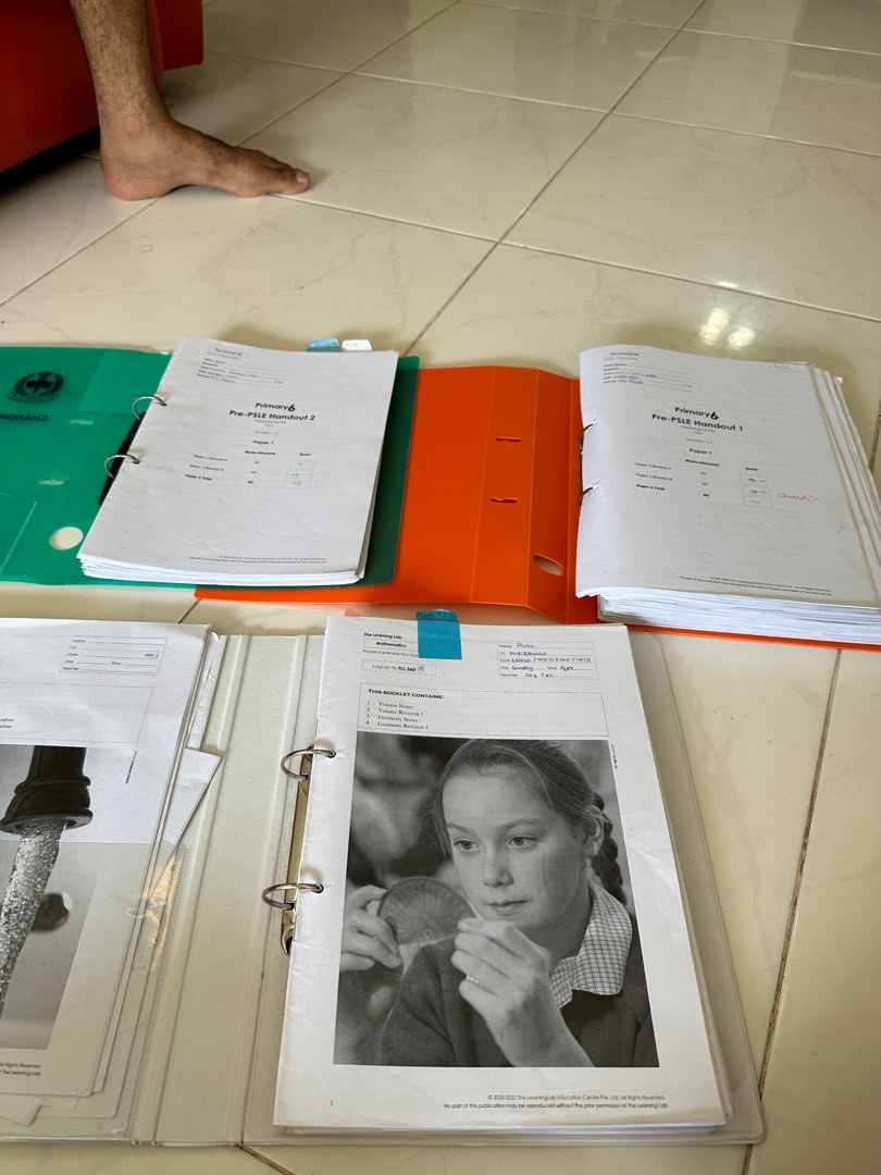 PSLE P6 The Learning Lab Mathematics completed worksheets and notes ...