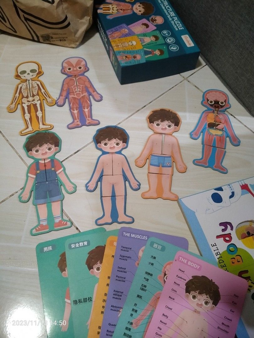 Body Structure puzzle, Hobbies & Toys, Toys & Games on Carousell