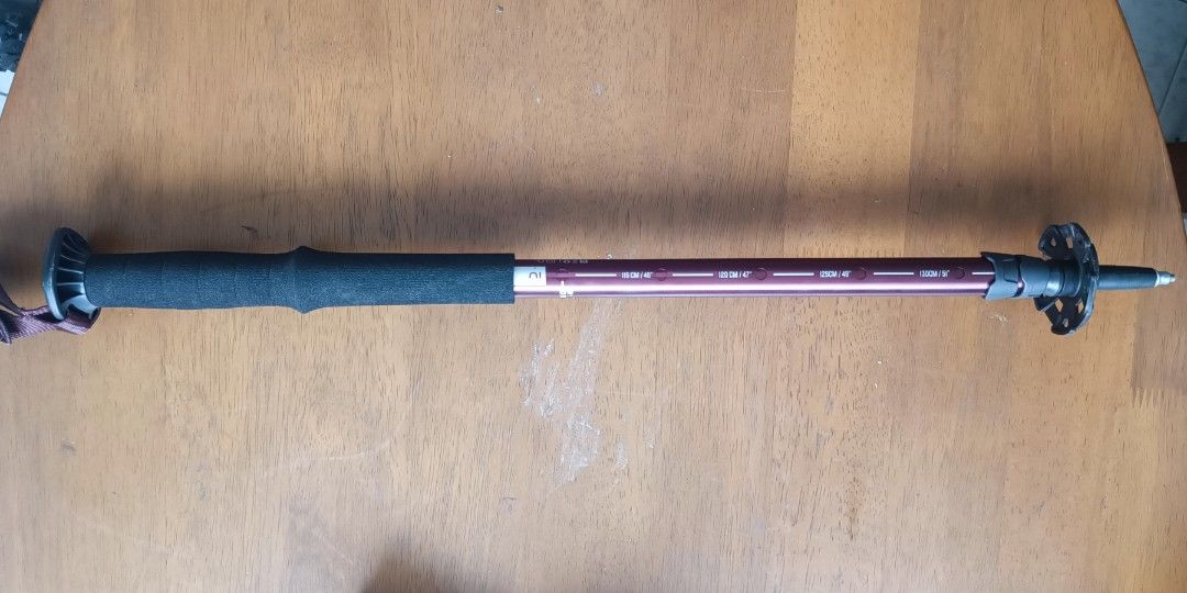 Decathlon Forclaz 100 Trekking stick, Sports Equipment, Hiking ...