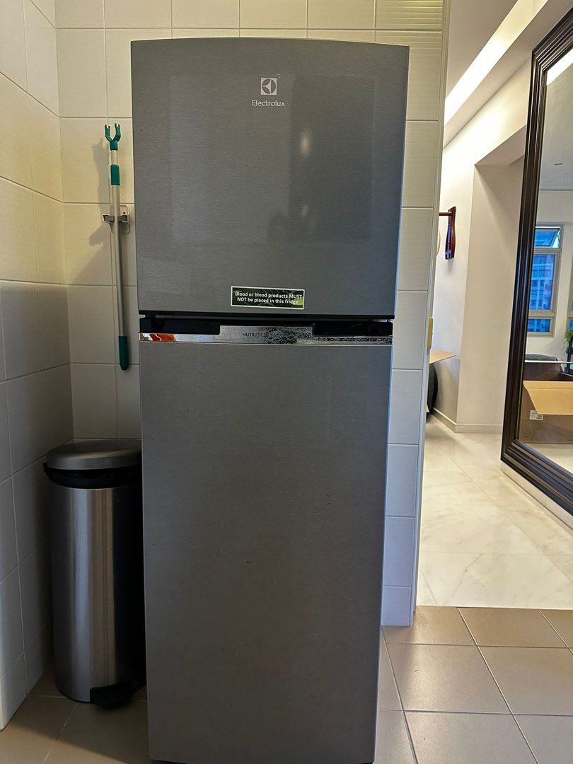 Electrolux 9L double door refrigerator, TV & Home Appliances, Kitchen Appliances, Refrigerators ...