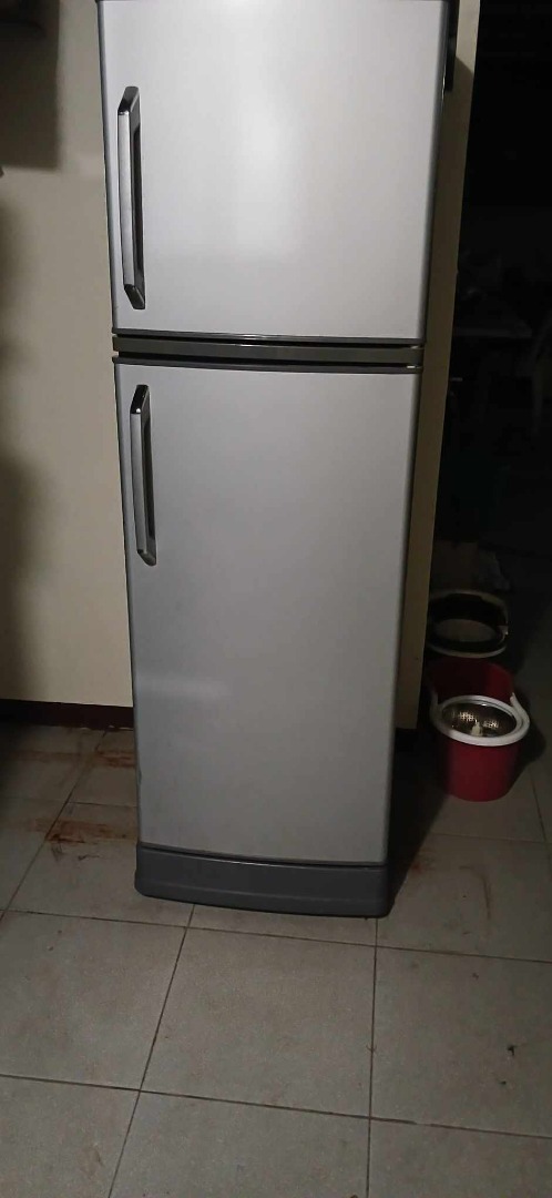 Kelvinator, TV & Home Appliances, Kitchen Appliances, Refrigerators and ...