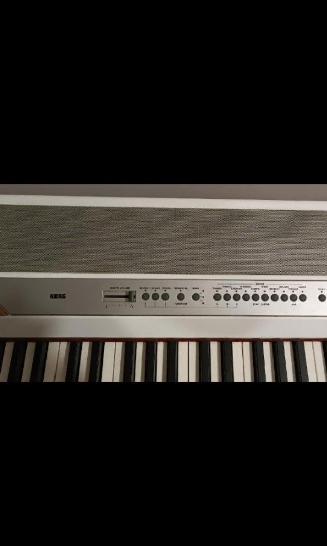 KORG SP-250 Digital Piano Keyboard, Hobbies & Toys, Music & Media ...