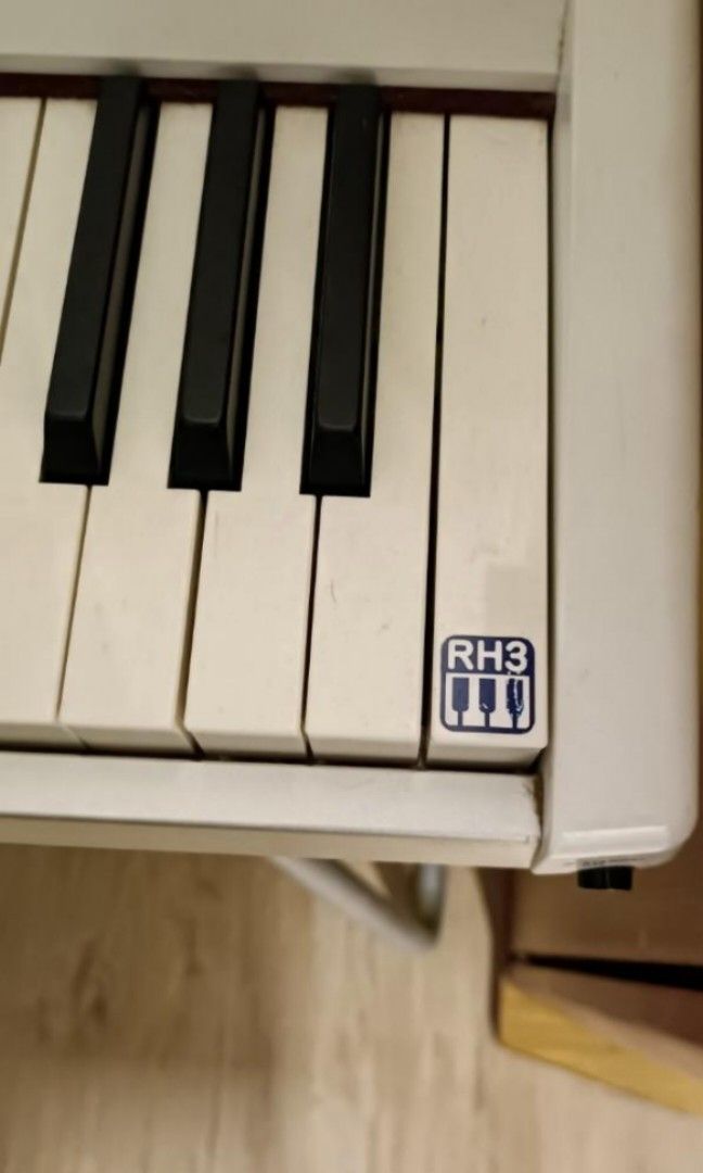 KORG SP-250 Digital Piano Keyboard, Hobbies & Toys, Music & Media ...