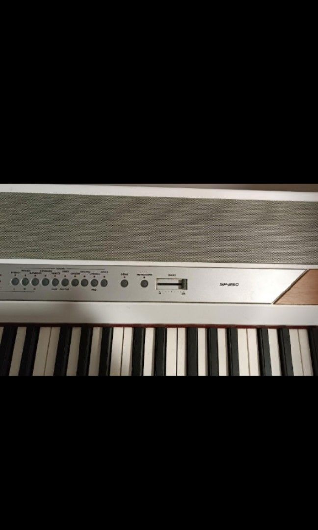 KORG SP-250 Digital Piano Keyboard, Hobbies & Toys, Music & Media ...