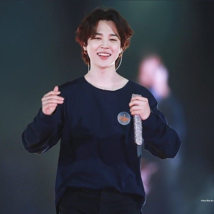 OFFICIAL BTS PTD ICON L/S NAVY, Hobbies & Toys, Memorabilia ...