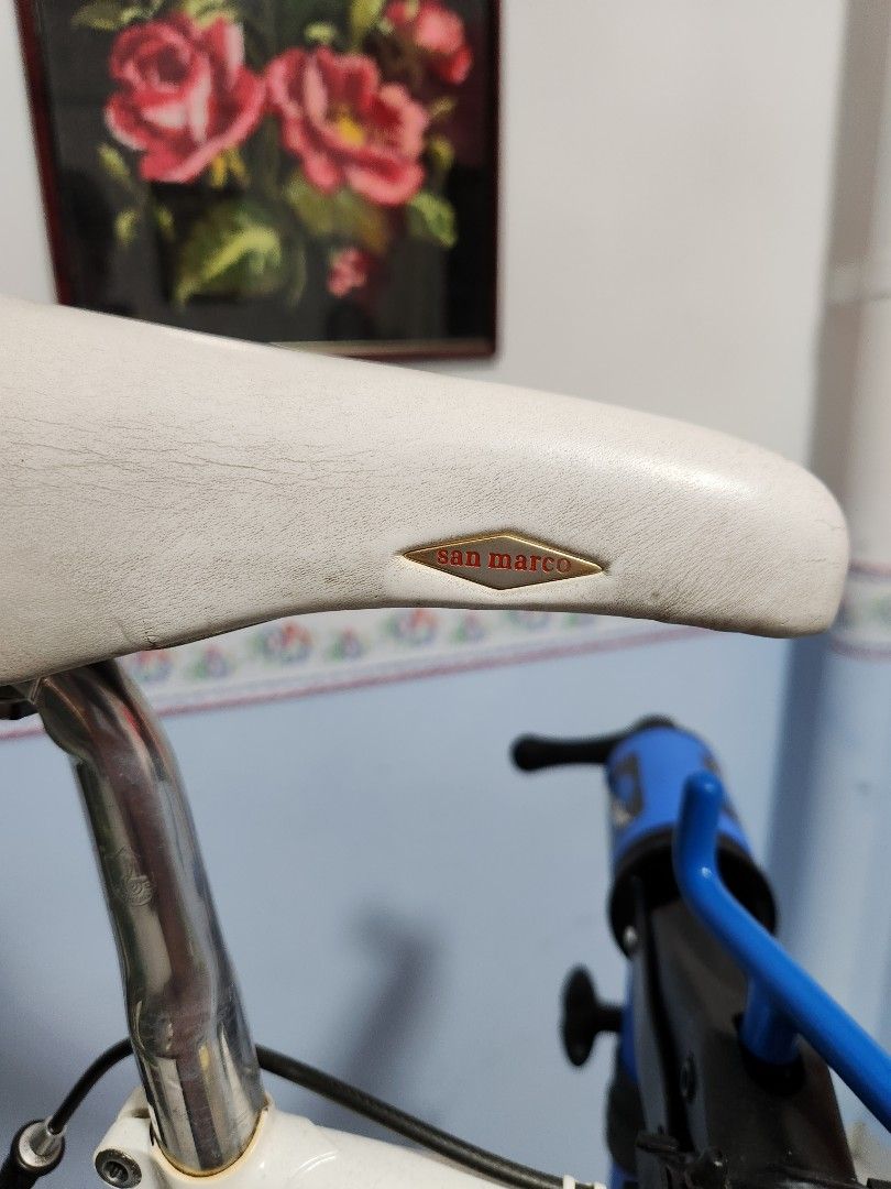 Pinarello steel frame, Sports Equipment, Bicycles & Parts, Bicycles on ...