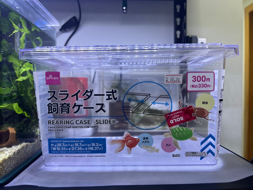 Plastic tank for fish and insect with clear sliding cover, Pet Supplies ...