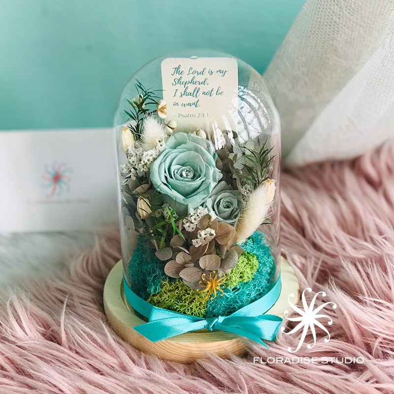Preserved Flower Dome - Pastel green rose, Hobbies & Toys, Stationery ...