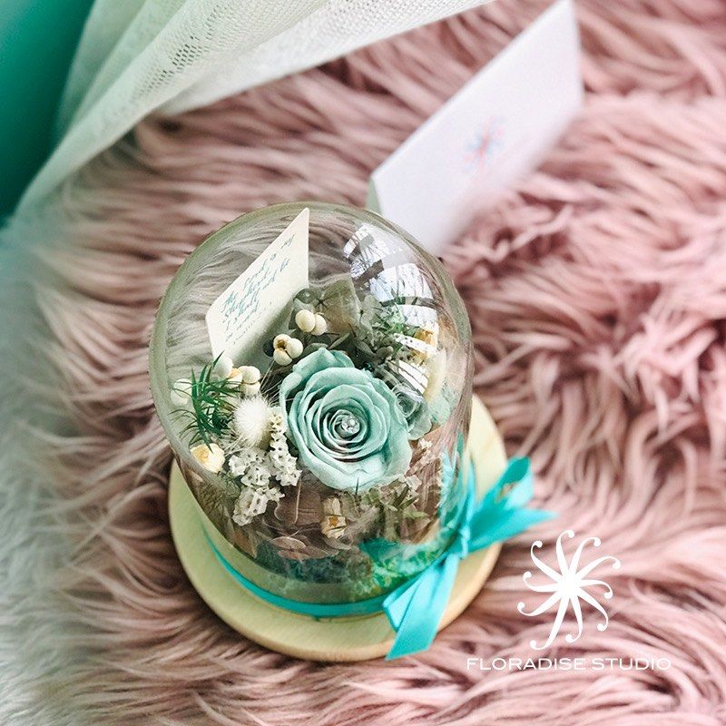Preserved Flower Dome - Pastel green rose, Hobbies & Toys, Stationery ...