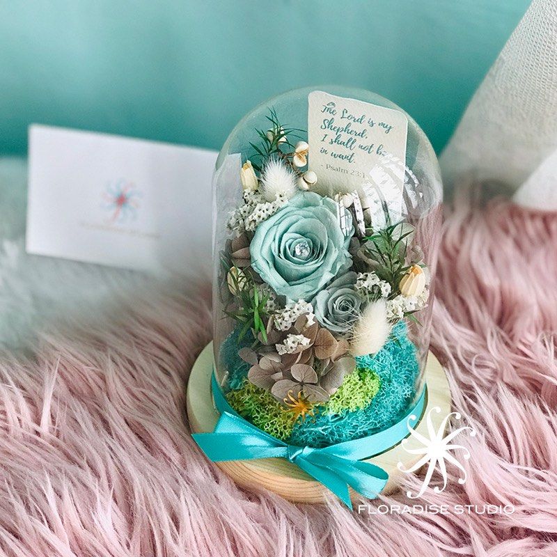 Preserved Flower Dome - Pastel green rose, Hobbies & Toys, Stationery ...