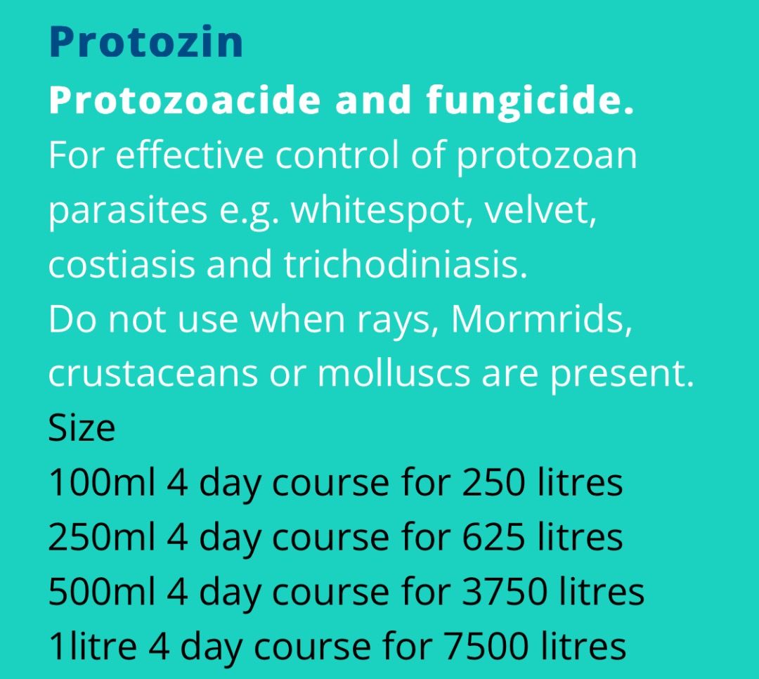Protozin (white spot and fungus medicine for fish) 魚用白點病/真菌治療, 寵物用品 ...