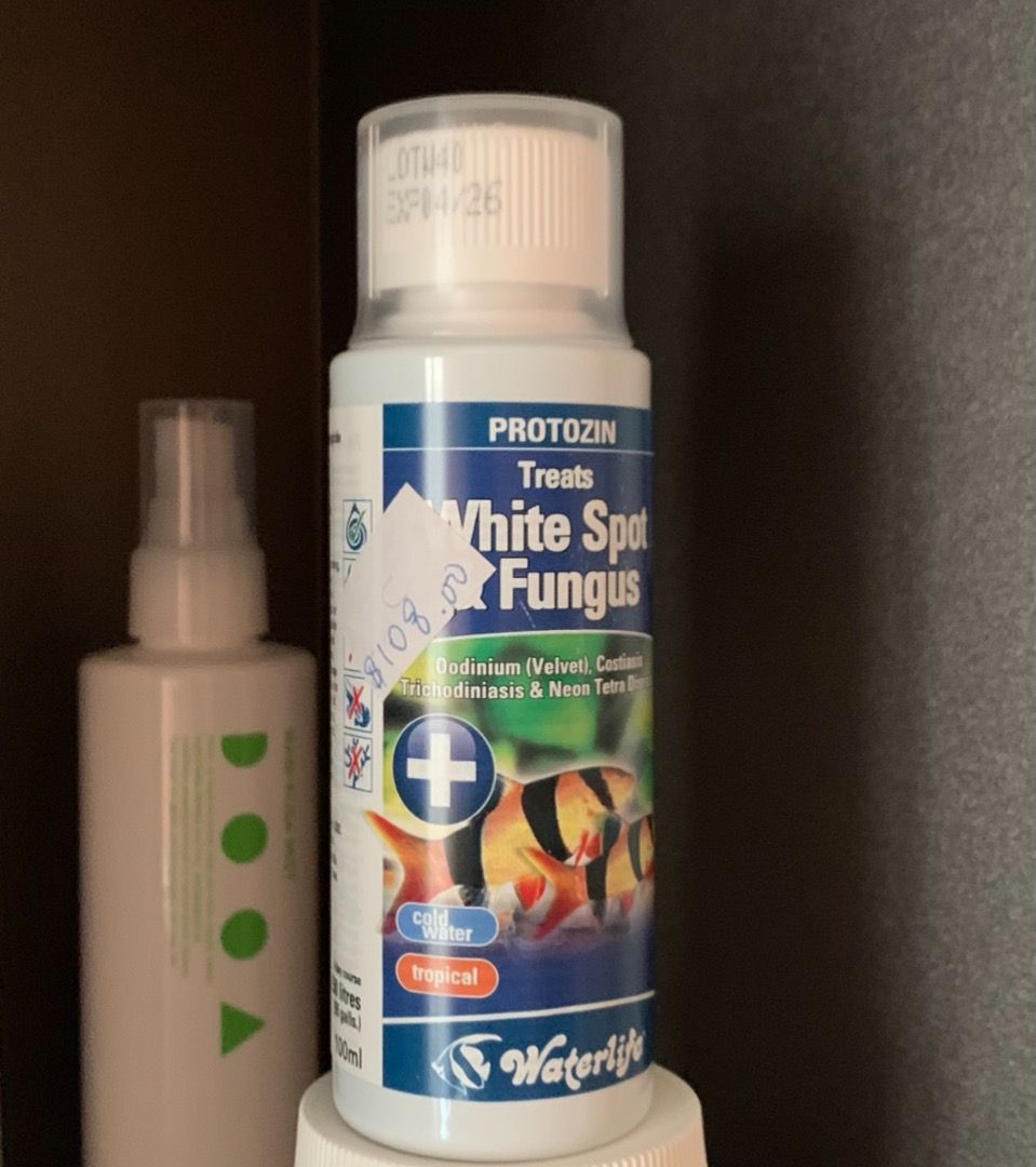 Protozin (white spot and fungus medicine for fish) 魚用白點病/真菌治療, 寵物用品 ...