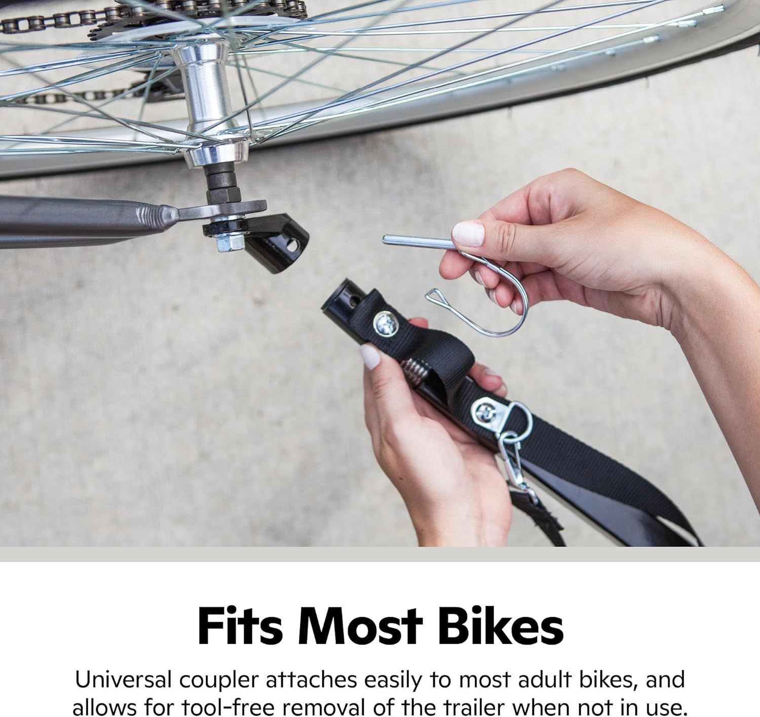 Schwinn Rascal Bike Pet Trailer, For Small and Large Dogs, Folding ...