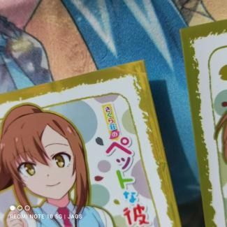 The Pet Girl of Sakurasou Aoyama Nanami Dog Days Millhiore Firianno ...