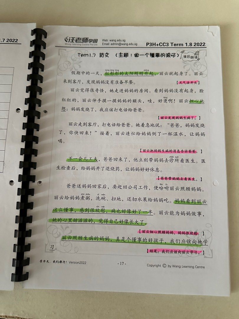 Wang Laoshi Higher Chinese Compo and Oral notes - P3, Hobbies & Toys ...