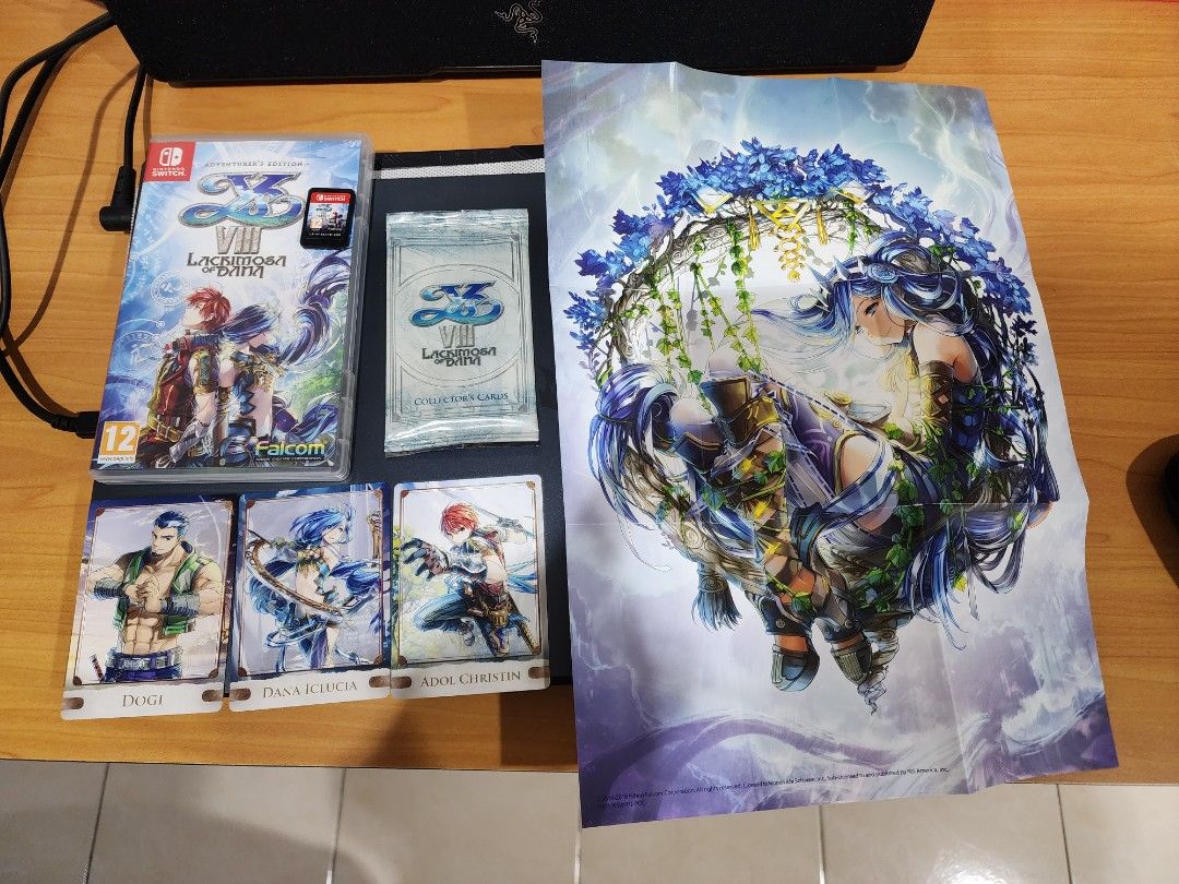 YS VIII Lacrimosa of Dana / YS8, Video Gaming, Video Games, Nintendo on ...