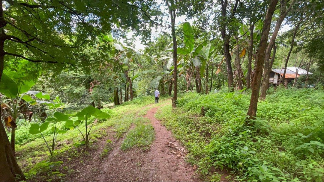 Baras rizal farm lot/agricultural, Property, For Sale, Lot on Carousell