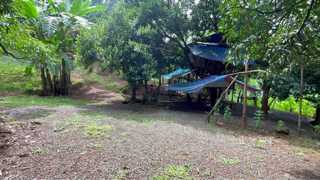 Baras rizal farm lot/agricultural, Property, For Sale, Lot on Carousell