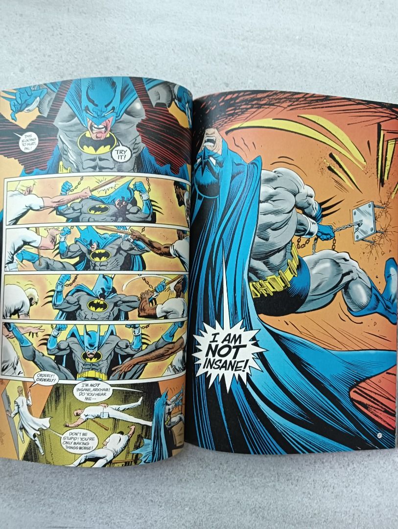 Batman: The Last Arkham graphic novel by Alan Grant, Hobbies & Toys ...