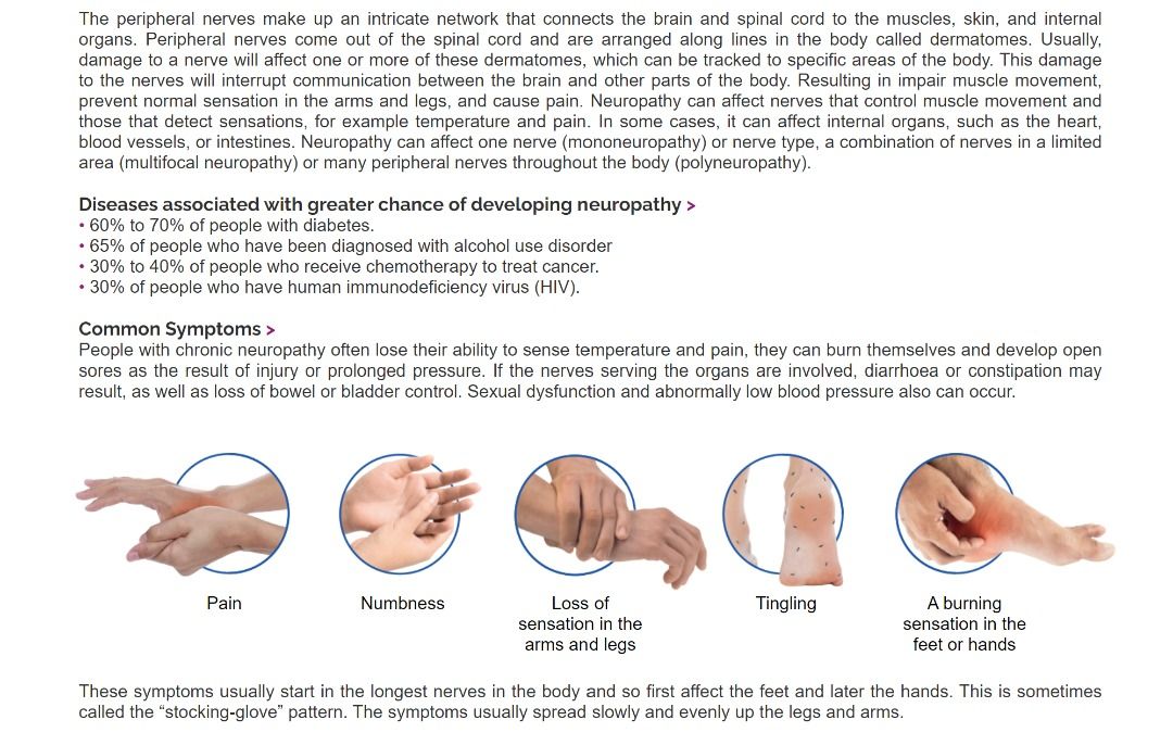 bionerv (alpha lipoic acid+ vitamin b1, b6, b12) to strengthen nerve ...