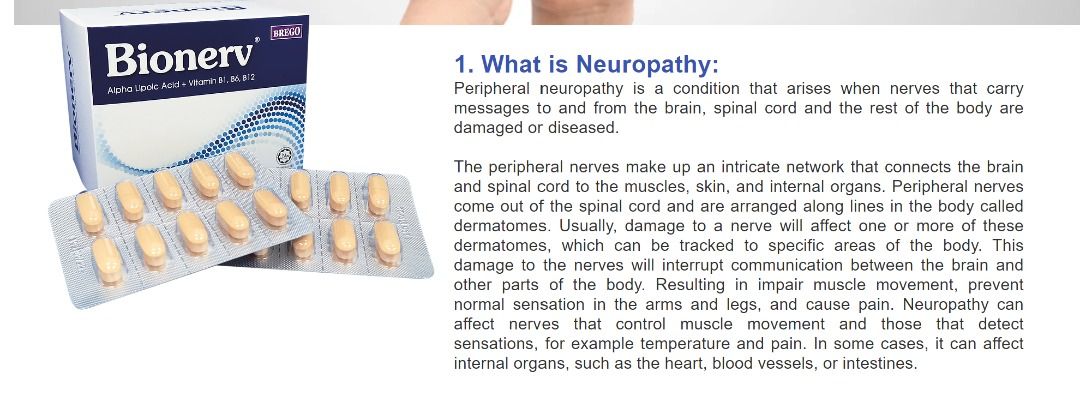 bionerv (alpha lipoic acid+ vitamin b1, b6, b12) to strengthen nerve ...