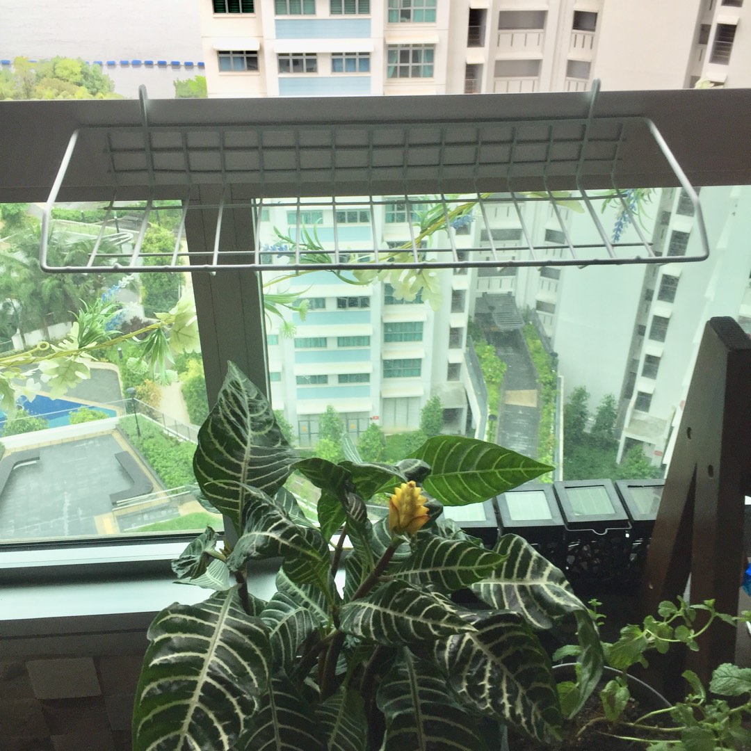 Brand New Window Hanging Trays, Furniture & Home Living, Home ...