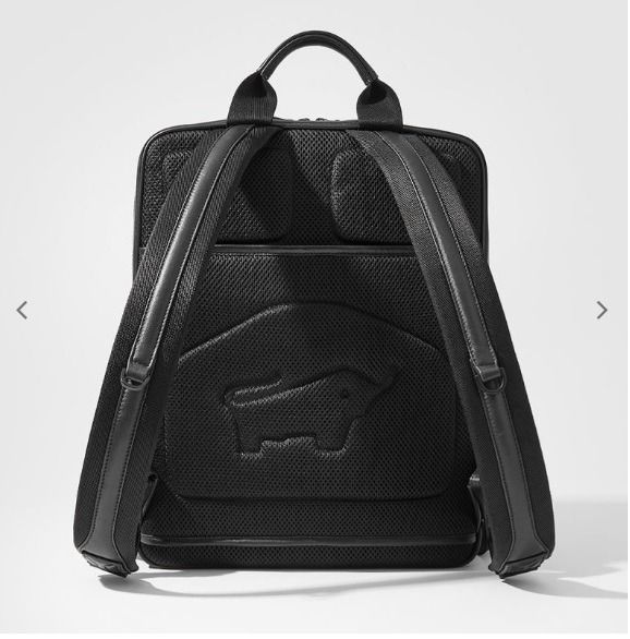 Braun Buffel Backpack, Men's Fashion, Bags, Backpacks on Carousell