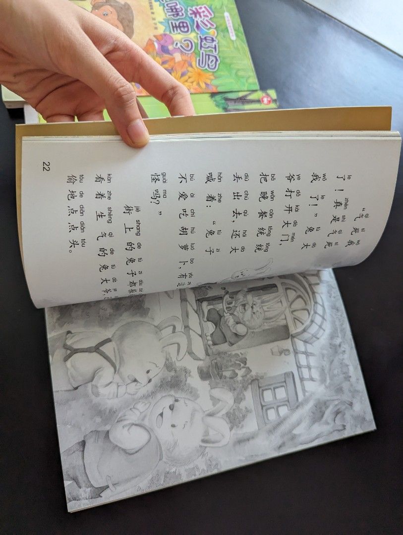 Chinese reader with Hanyu Pinyin, Hobbies & Toys, Books & Magazines ...