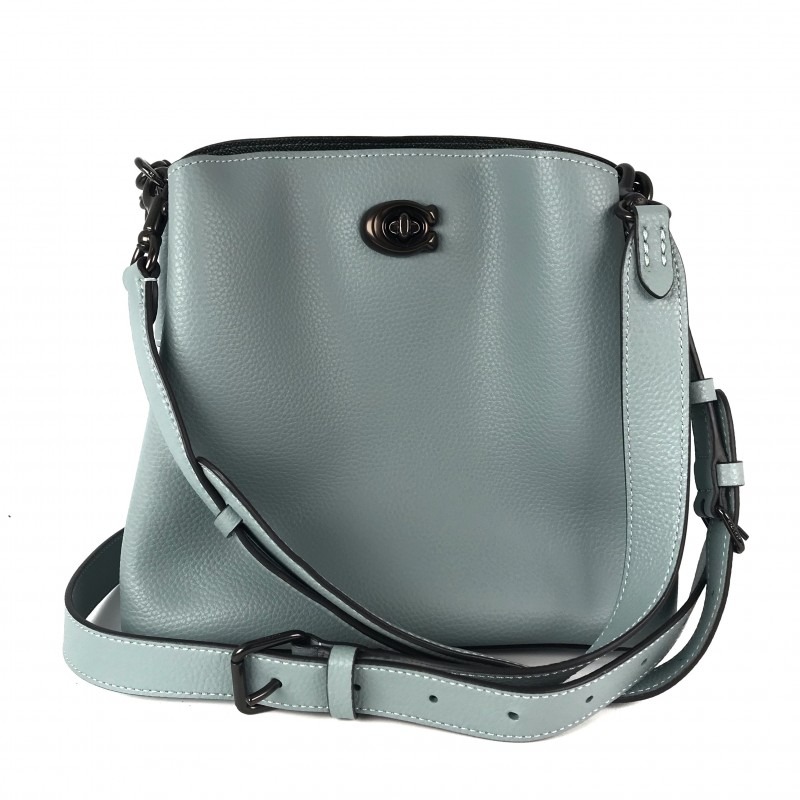 Coach Blue Calfskin Willow Bucket Bag, Luxury, Bags & Wallets on Carousell