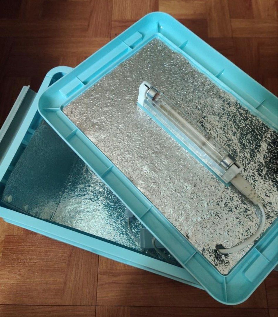 Collapsible UV disinfectant basket (baby mama), Furniture & Home Living ...