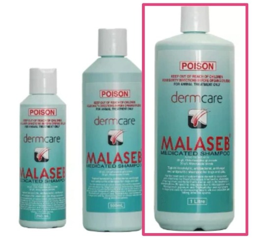 Dermcare Malaseb Medicated Shampoo, Pet Supplies, Health & Grooming on ...