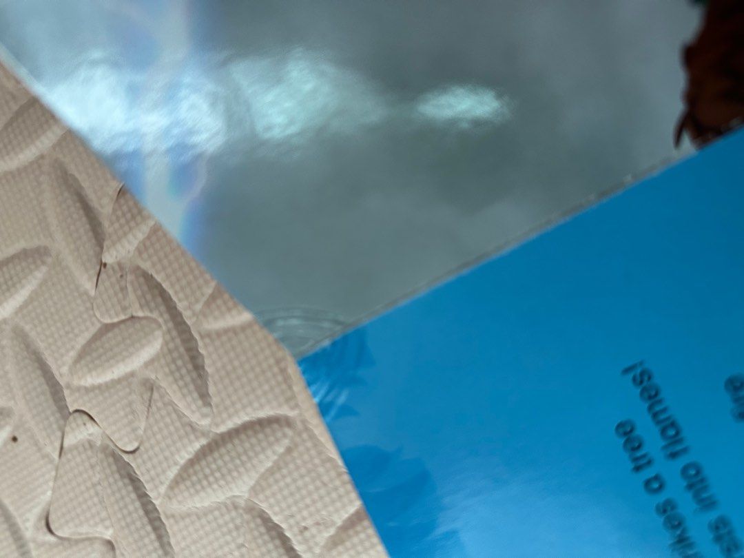 Fireman Sam Radar to The Rescue, Hobbies & Toys, Books & Magazines ...