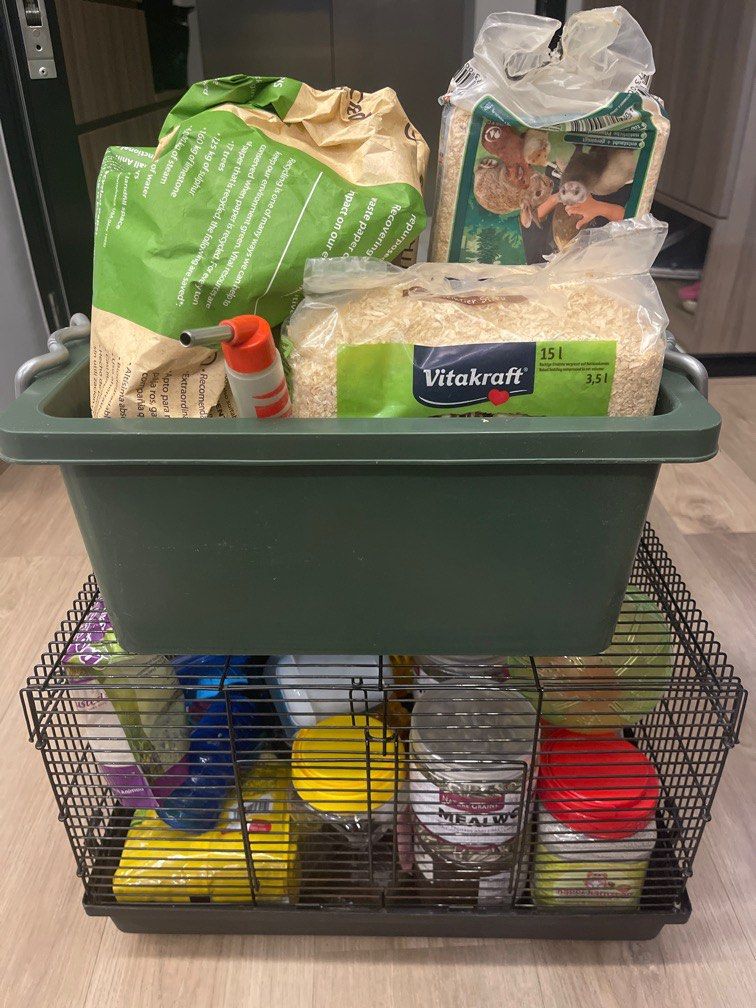 Hamster starter kit, Pet Supplies, Homes & Other Pet Accessories on ...