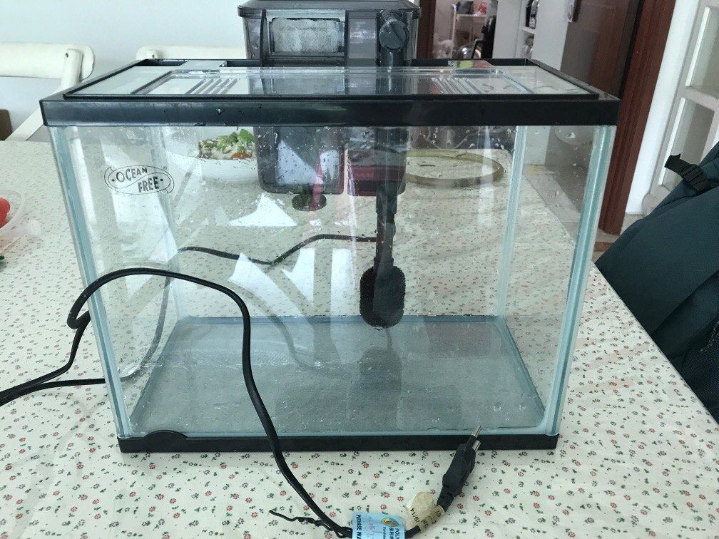 Ocean free Fish Tank Set, Pet Supplies, Homes & Other Pet Accessories ...