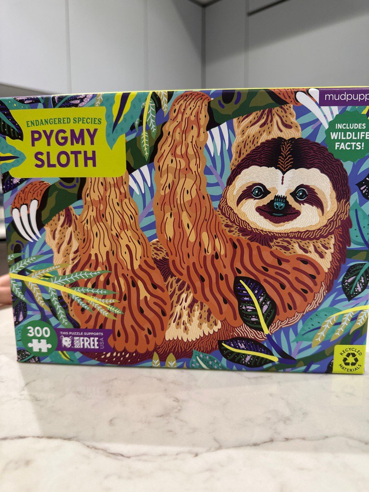Pygmy sloth puzzle, Hobbies & Toys, Toys & Games on Carousell