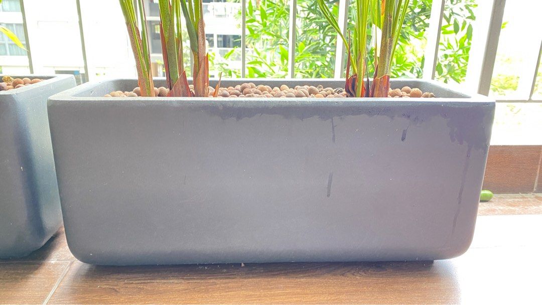Rectangle Planter Pot for Sale, Furniture & Home Living, Gardening ...