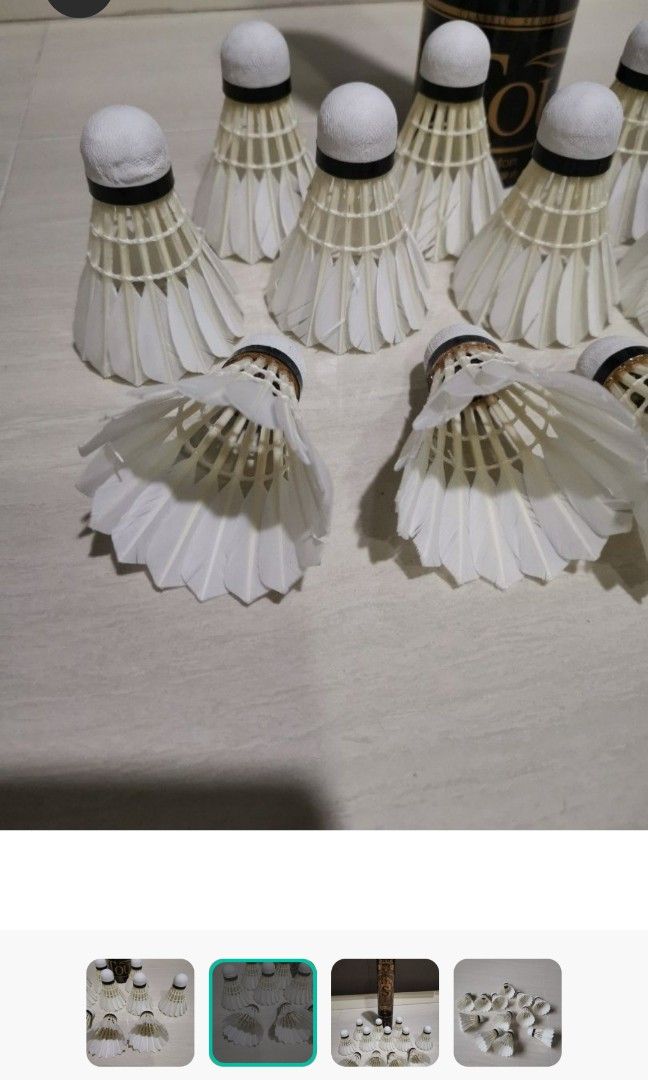 RSL SUPREME USED SHUTTLECOCK, Sports Equipment, Other Sports Equipment ...