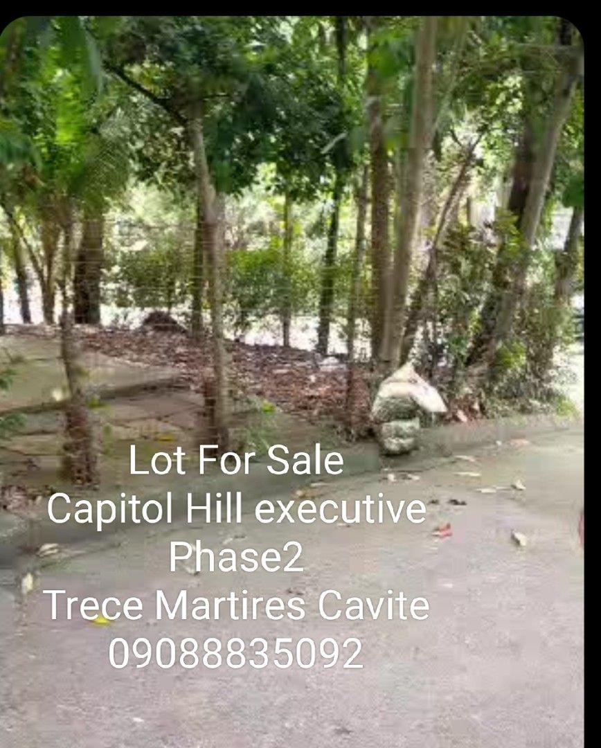 Rush sale Capitol Hill Phase 2 Trece Martires, Property, For Sale, Lot ...