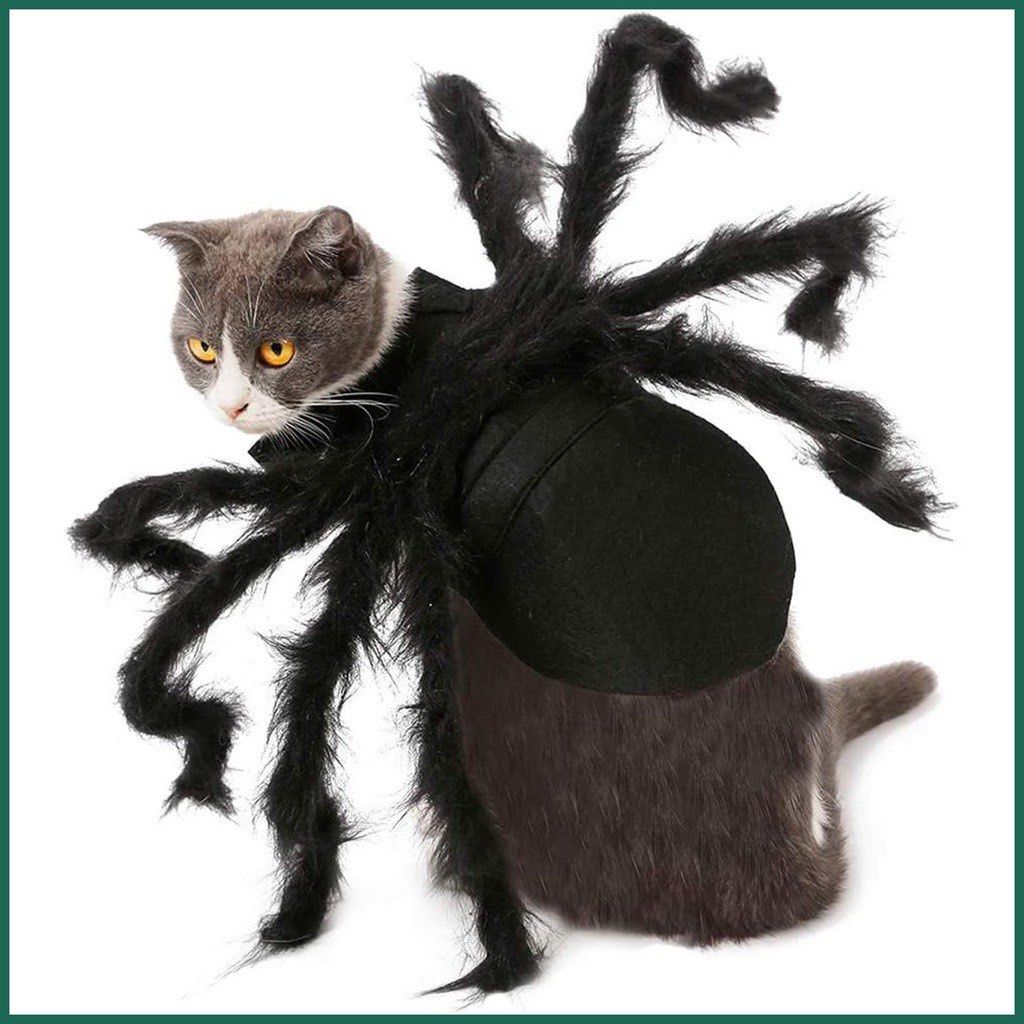 Cat Spider Costume, Pet Supplies, Homes & Other Pet Accessories on ...