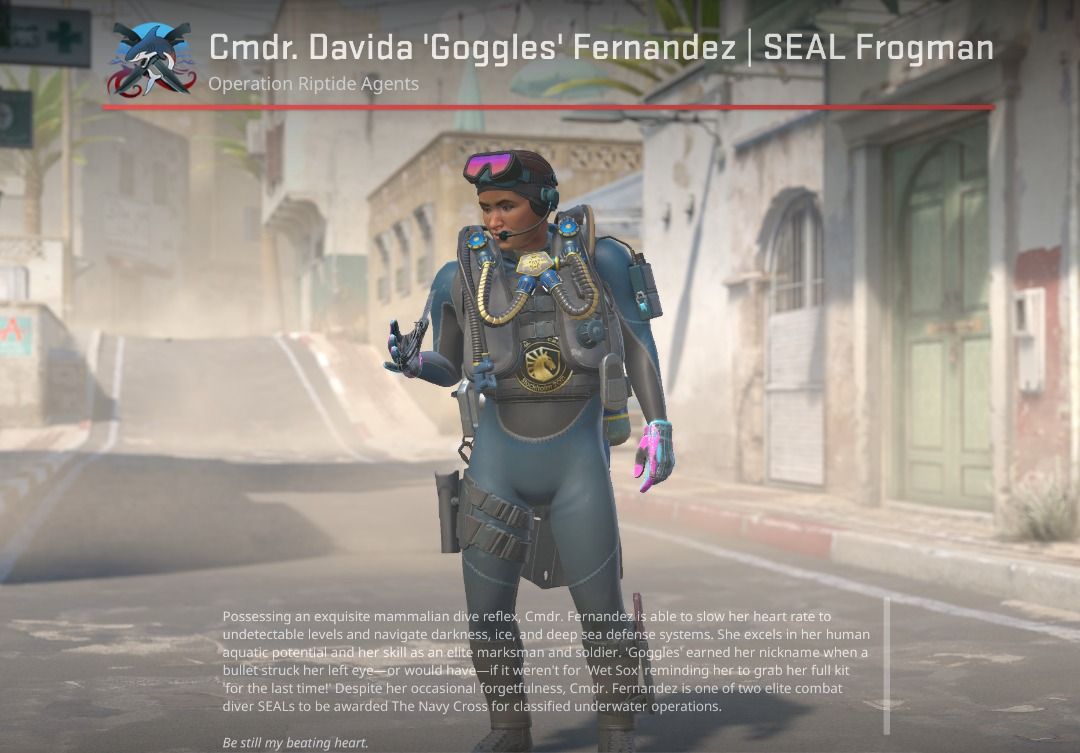 CT Agent | Cmdr. Davida 'Goggles' Fernandez | SEAL Frogman | CS2 CSGO, Video Gaming, Gaming ...